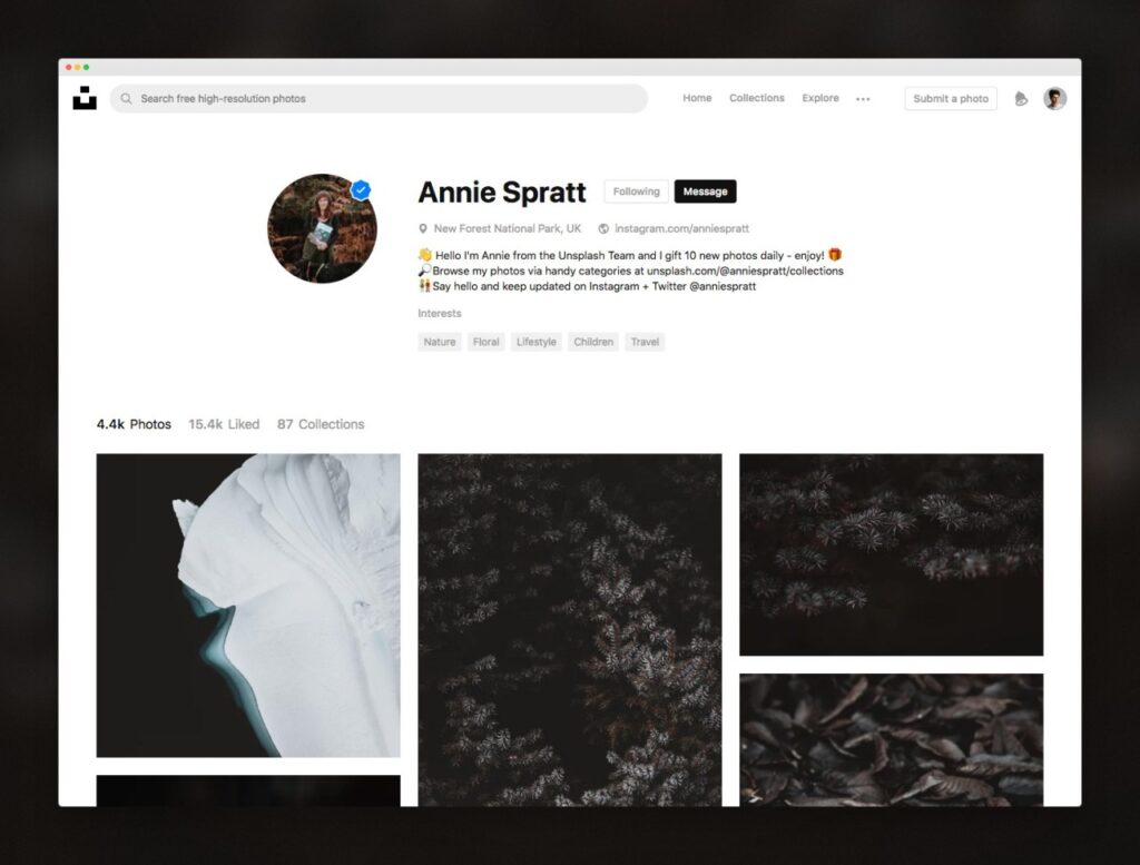 Télécharger Unsplash sur Extension Google Chrome, iOS, macOS et en ...