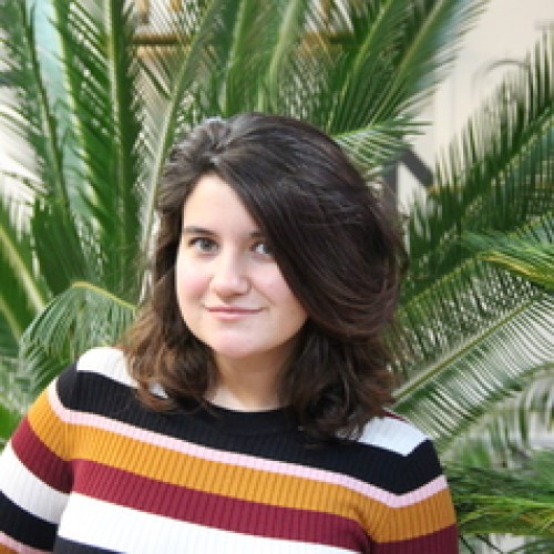 Sarah Anderson - Numerama